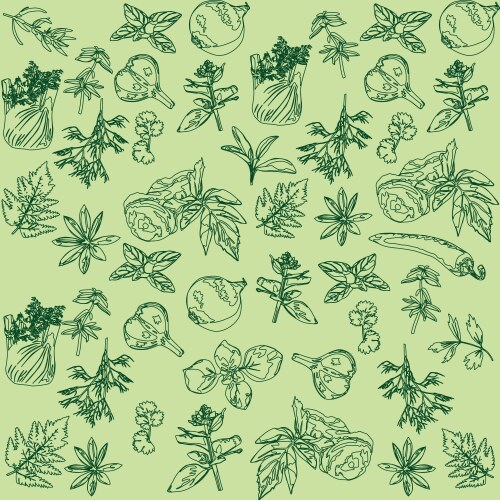 Herbs and spices collection 8 Royalty Free Vector Image