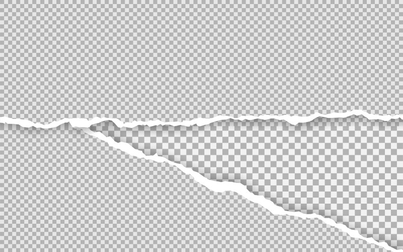 Torn a half sheet of transparent paper Royalty Free Vector