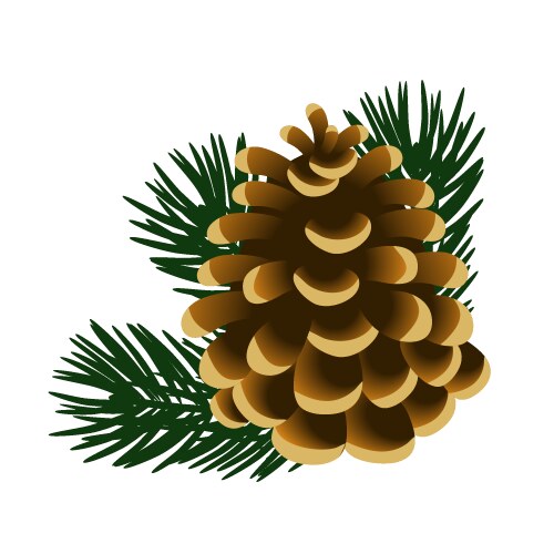 Pinecone Vector Images (over 6,900)