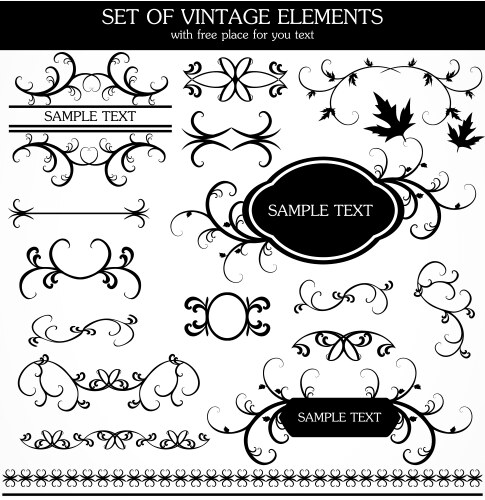 Calligraphic vintage elements Royalty Free Vector Image
