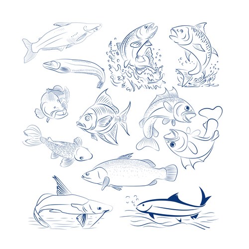 Fish Line Art Mandala – Free Vector | VectorStock