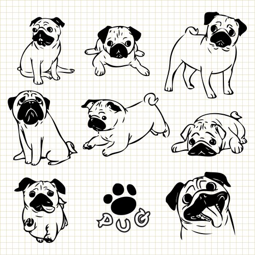 Pug Vector Images (over 12,000)