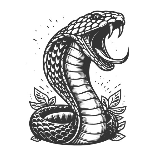 Snake Striking Vector Images (over 340)