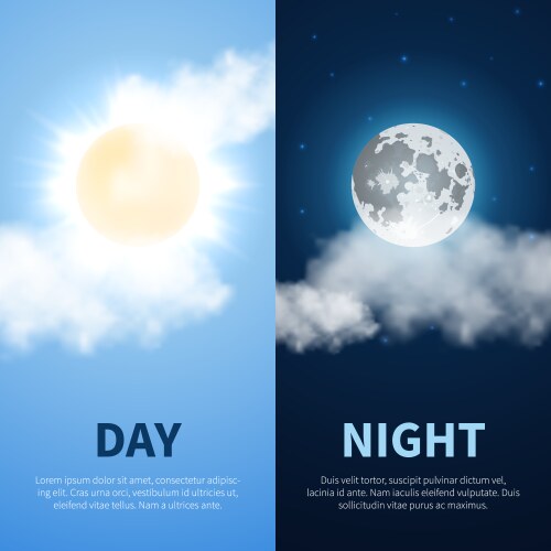 Day and night cycle diagram Royalty Free Vector Image