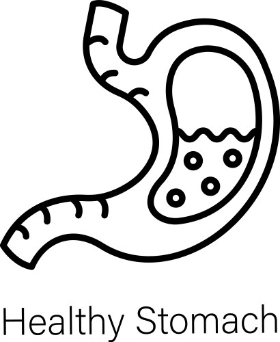 Stomach Vector Images (over 41,000)