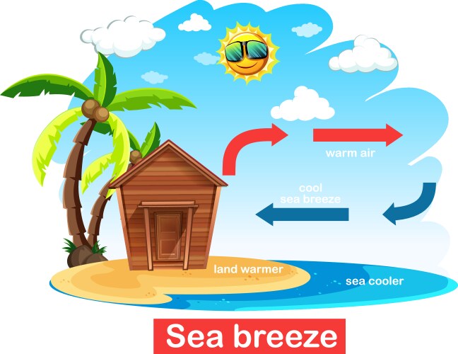 Science poster design for sea breeze Royalty Free Vector