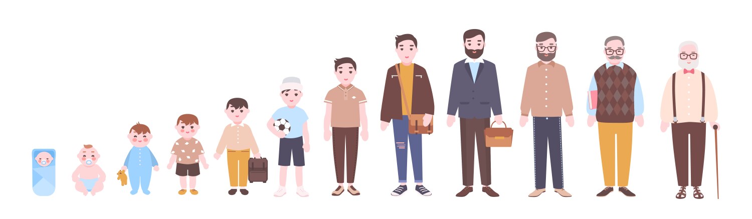 Stages of growing up life cycle graph Royalty Free Vector