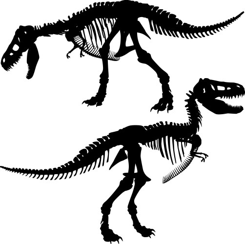 T Rex Vector Images (over 8,100)