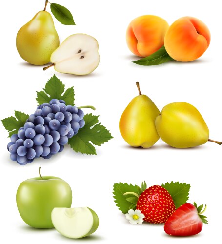 Fruit Royalty Free Vector Image - VectorStock