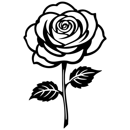 Rose One Line Drawing Vector Images (over 2,200)