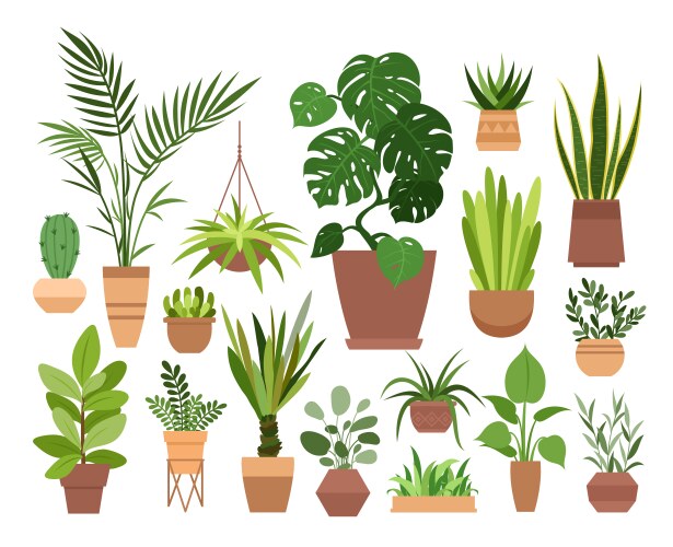 Parts of a plant Royalty Free Vector Image - VectorStock