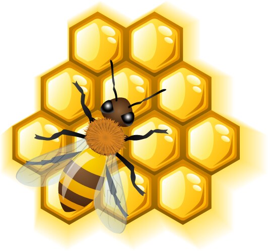 Honey Bee Vector Images (over 68,000)