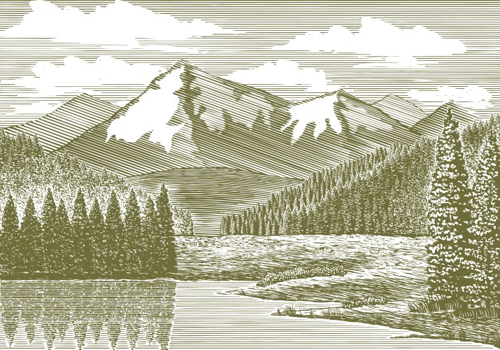 Woodcut mountain lake scene Royalty Free Vector Image