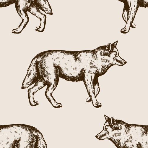 Wolf Scratch Vector Images (over 520)