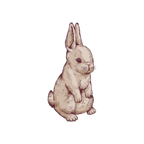 Cute standing fluffy rabbit sketch style Vector Image