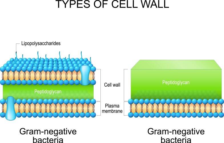 Gram Vector Images (over 6,200)