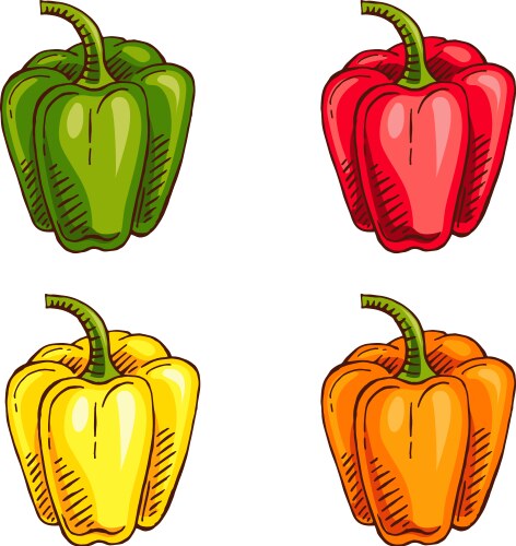 Capsicum Vector Images (over 6,700)