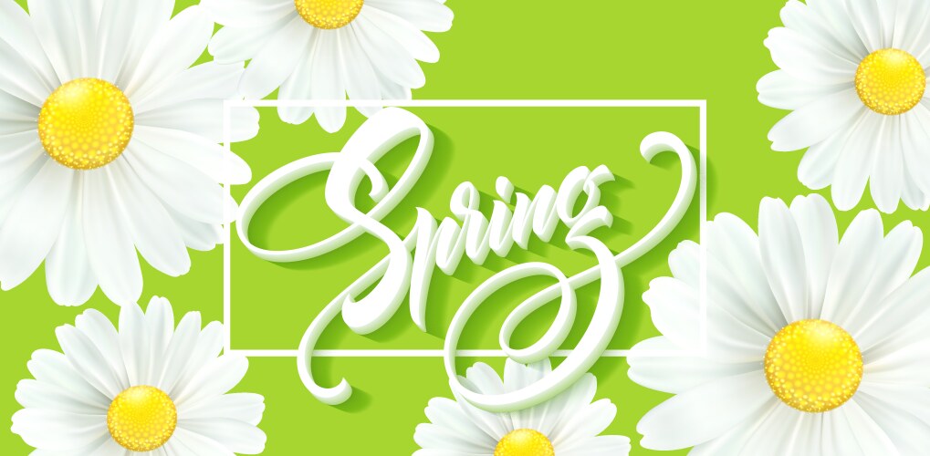 Calligraphic inscription hello spring Royalty Free Vector