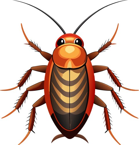 Roach Cockroach Vector Images (over 2,100)