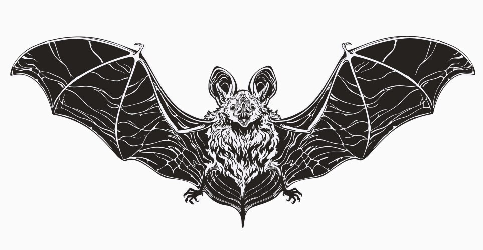 Bat Wings Vector Images (over 13,000)