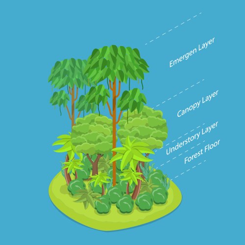 Canopy Isometric Vector Images (over 530)