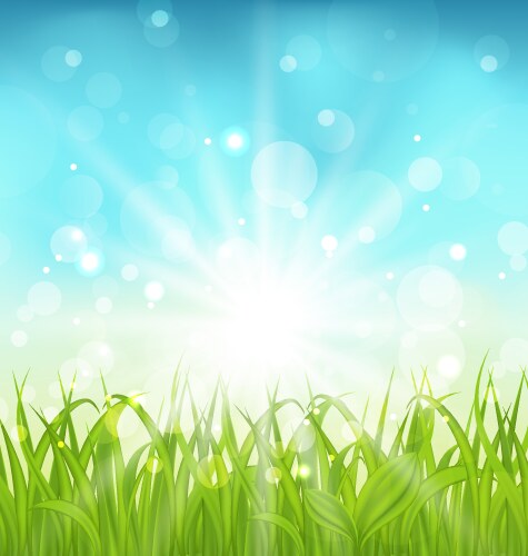 Light spring field background Royalty Free Vector Image