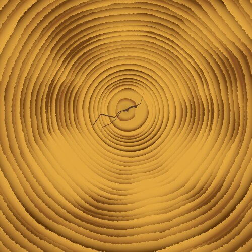 Cross Section Vector Images (over 12,000)