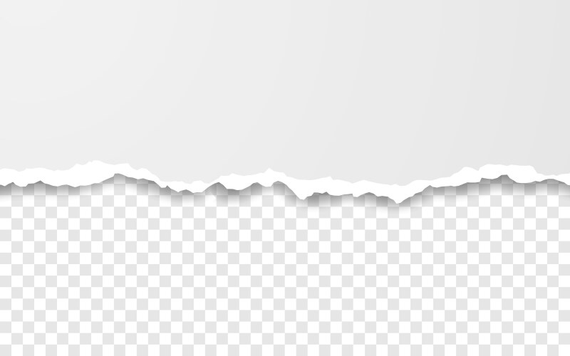 Torn a half sheet of white paper from the bottom Vector Image
