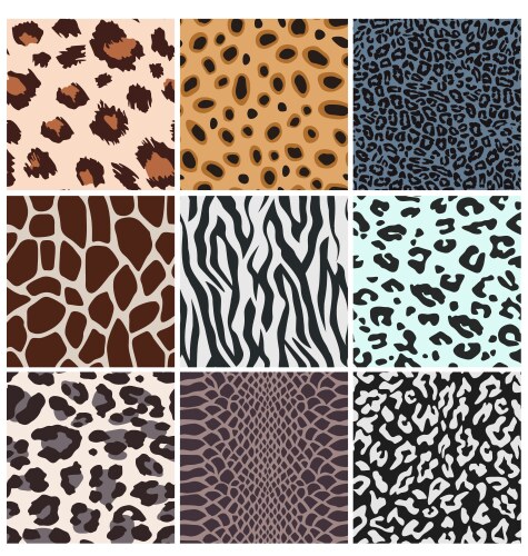 Cheetah Pattern Vector Images (over 16,000)