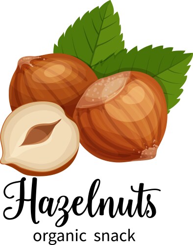 Peanuts in cartoon style Royalty Free Vector Image