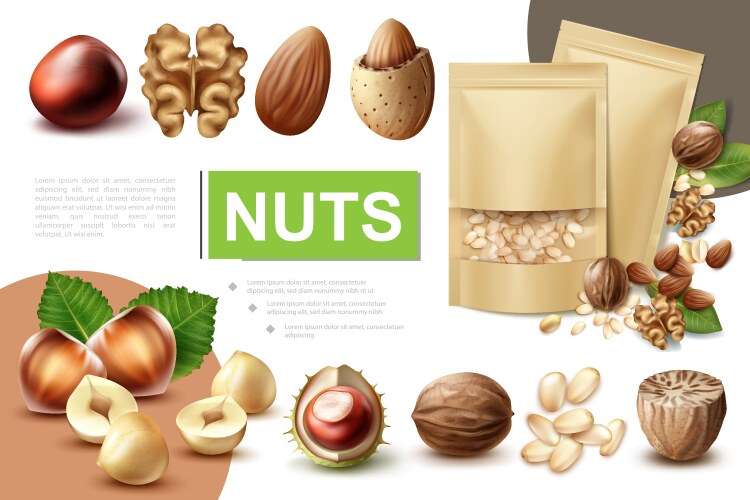 Realistic organic nuts advertising template Vector Image
