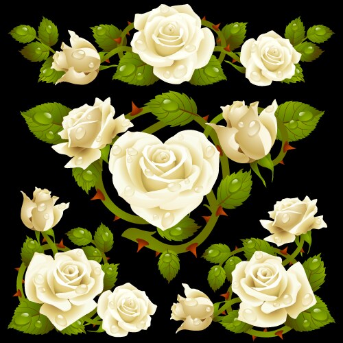 Rose Vector Images (over 330,000)