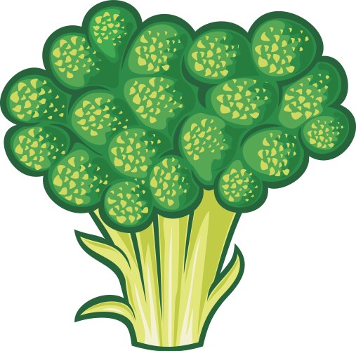 Broccoli crying with tears running down face Vector Image