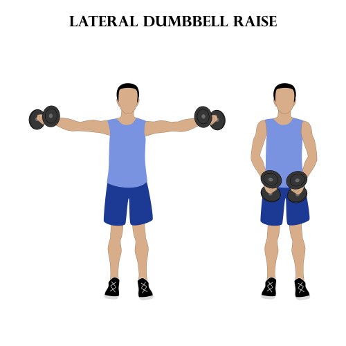 Woman doing lateral side shoulder dumbbell raises Vector Image