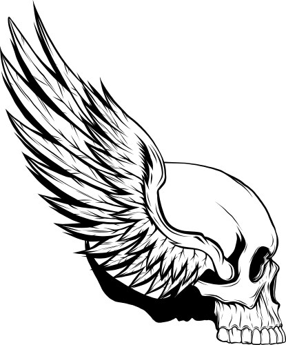 Skull Front Facing Vector Images (over 2,200)