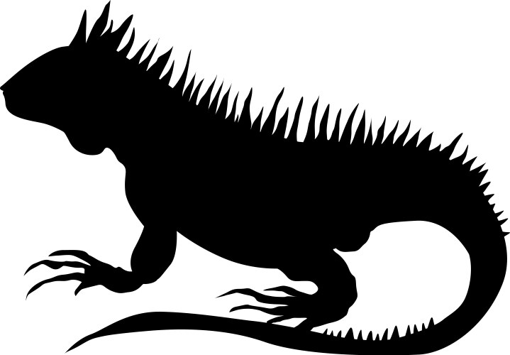 Iguana Vector Images (over 6,100)
