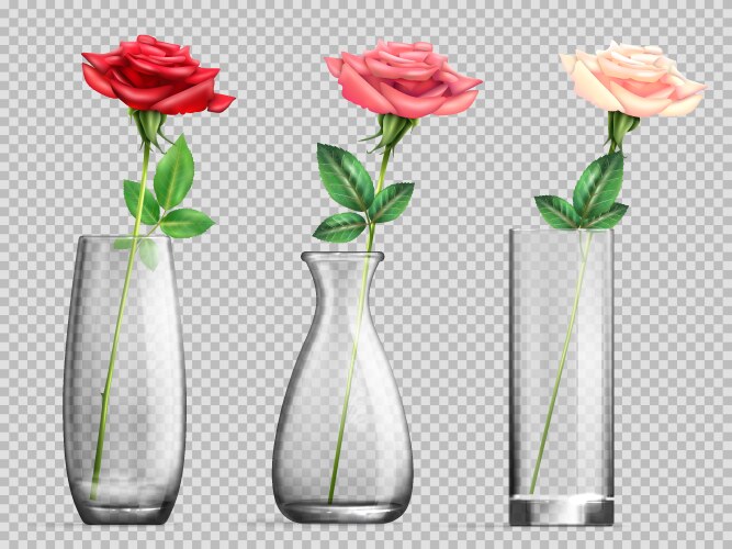 Glass vase with rose transparent set Royalty Free Vector