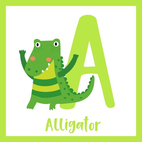 Alligator flashcard Vector Images & Graphics for Commercial Use ...