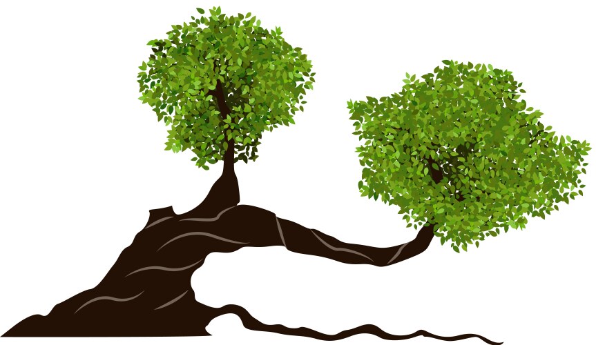A big old tree Royalty Free Vector Image - VectorStock