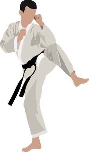 Karate Vector Images (over 22,000)