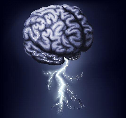 Brain Vector Images (over 240,000)