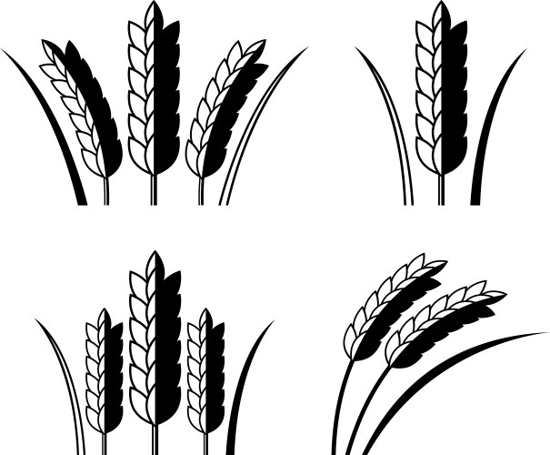 Rice Clip Art Black and White Vector Images (over 190)