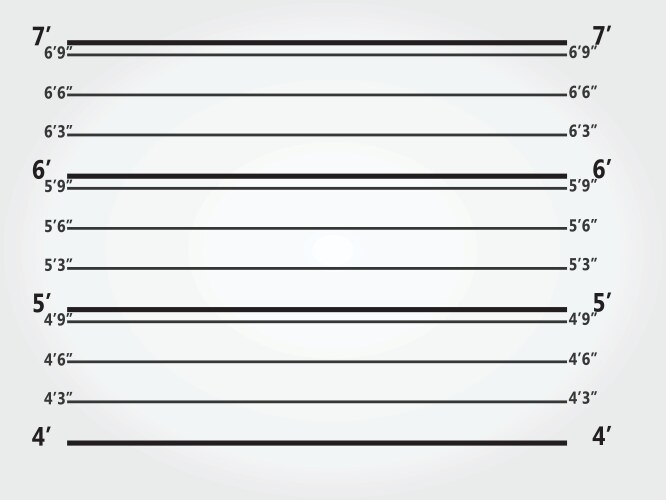 Height Chart in Jail Vector Images (over 190)