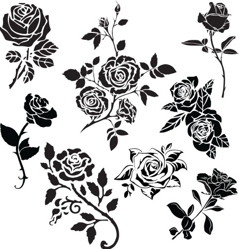 Rose Vector Images (over 330,000)
