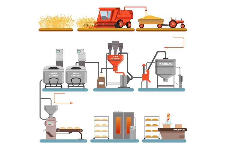 Bread making process Royalty Free Vector Image
