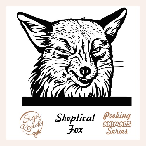 Fox face sketch hand drawn Royalty Free Vector Image