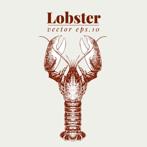 Lobster ink sketch on old paper Royalty Free Vector Image
