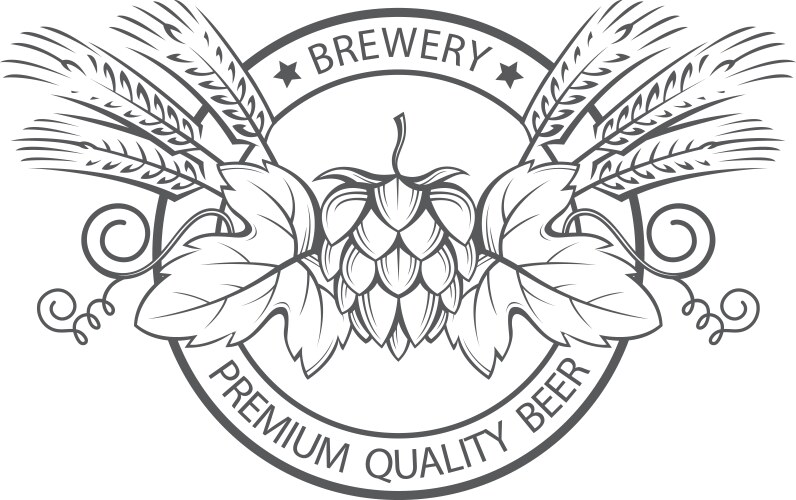 Barley and wheat malt hops beer Royalty Free Vector Image