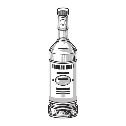 Alcohol drink vodka Royalty Free Vector Image - VectorStock