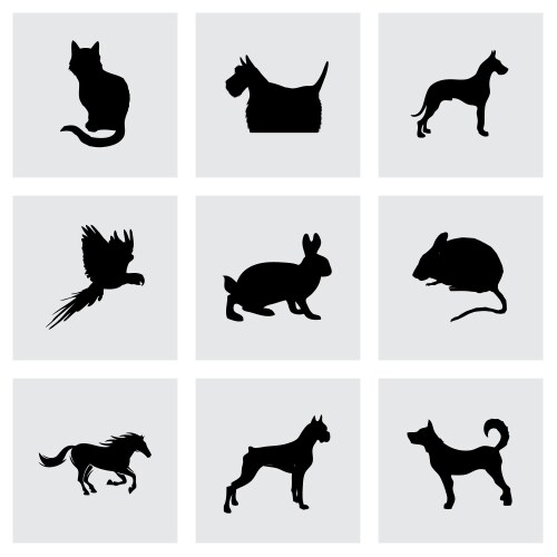 Pet Vector Images (over 640,000)